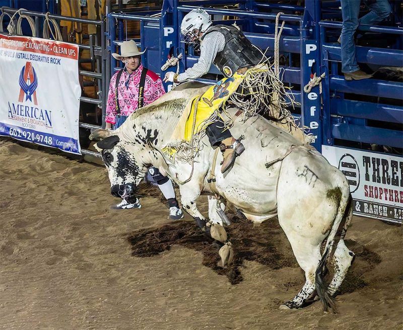 All Bulls All Night - Cave Creek Rodeo